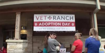 Gabbie vuote al canile municipale grazie all'intervento del Vet Ranch ...