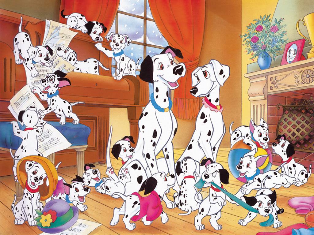 Il Dalmata: scheda completa di questo splendido cane