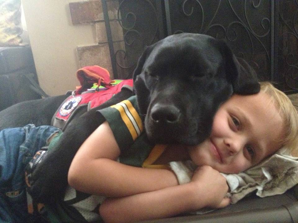 Il diabete stava per uccidere Luke, il suo cane Jedi lo ha salvato