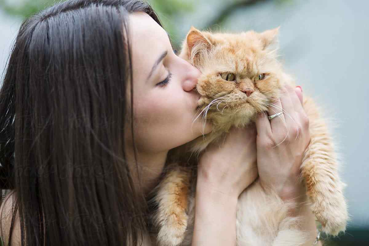 Baci al gatto: tutto quello che c'è da sapere - amoreaquattrozampe.it