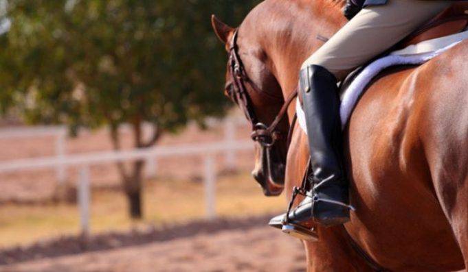 Maneggio: come scegliere quello giusto per andare a cavallo