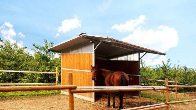 Lo spazio adeguato per il cavallo: dal paddock al box
