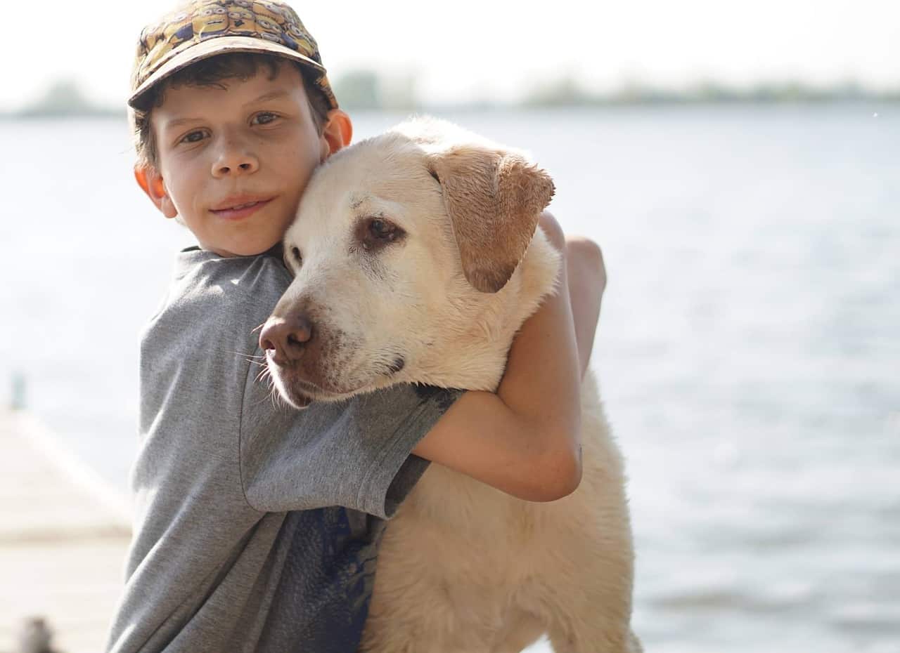 Le razze di cani più adatti per bambini autistici: empatia e pet therapy