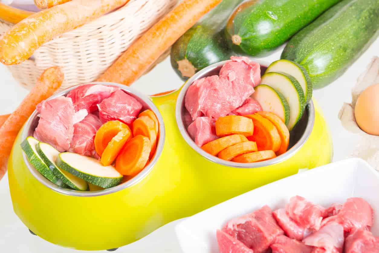 Prevenire il cancro nel cane: 8 alimenti antiossidanti da conoscere