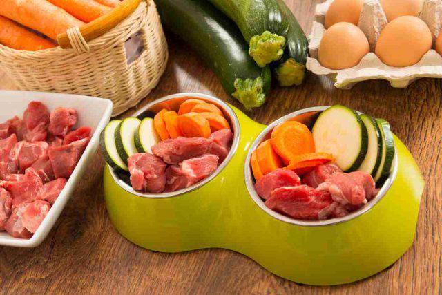Proteine per il cane: come scegliere gli alimenti giusti