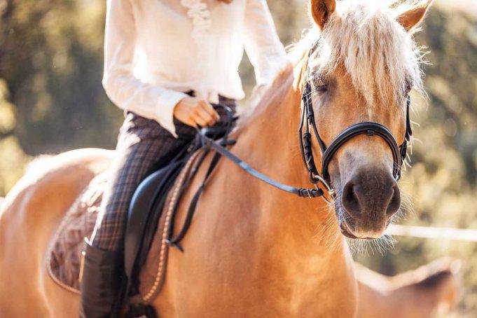 Come calcolare il peso di un cavallo: la tabella in base alle razze