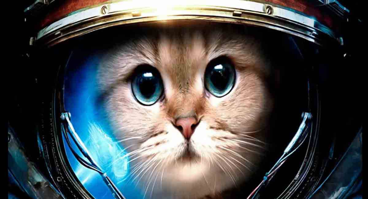 Animali nello spazio: storie di astronauti a quattro zampe
