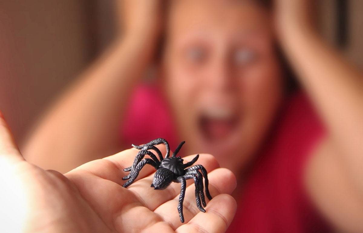 Fobie per gli animali: quali sono, nomi e informazioni