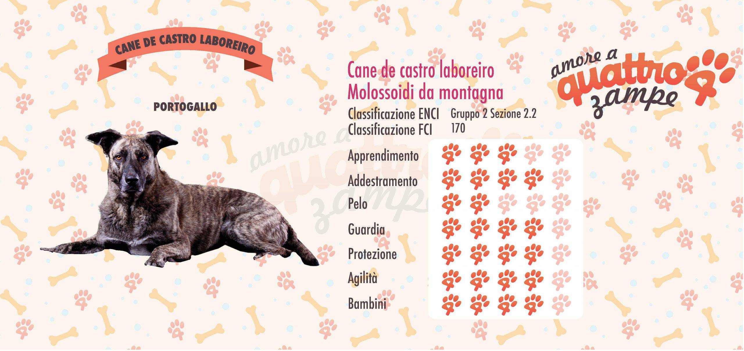 Cane di Castro Laboreiro scheda razza cane da sorveglianza