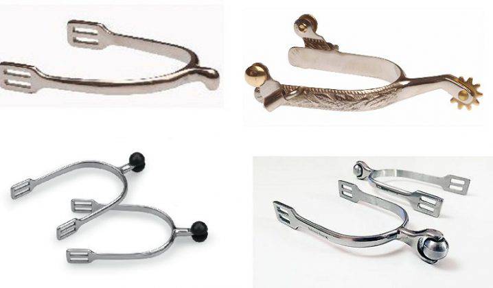 Sperone: è utile nell'equitazione o dannoso per il cavallo