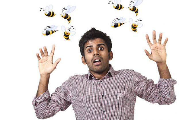 Paura delle api: cos'è l'apifobia, sintomi, cause e cure