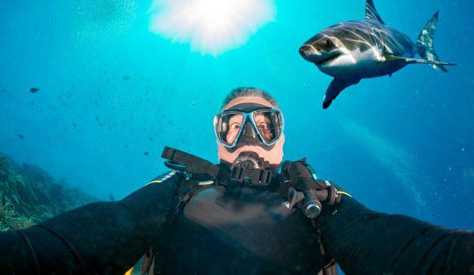 Selacofobia paura degli squali: cause, sintomi, trattamenti