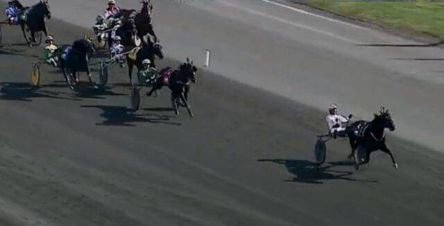 Trotto: Zacon Giò, il cavallo che nessuno voleva batte il record di Varenne