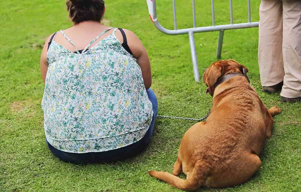 Padrone obeso cane obeso: lo conferma una ricerca