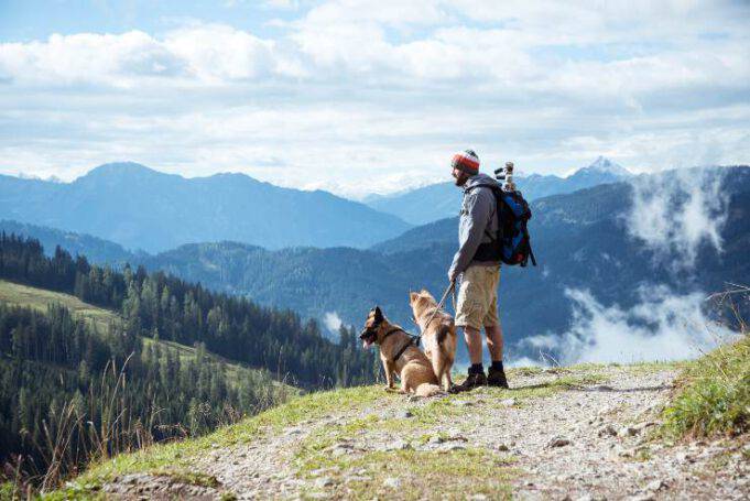 Portare il cane in montagna : consigli per la vacanza