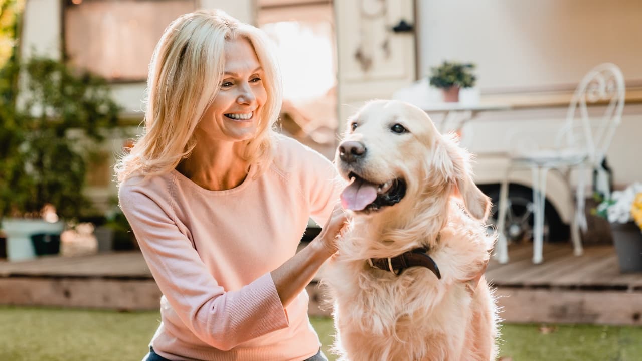 Che cos'è il pet host: mansioni e responsabilità di questa professione