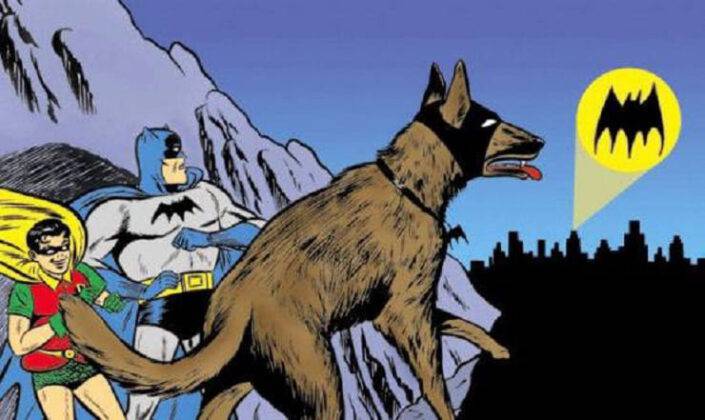 Cane Batman: nome, razza, caratteristiche e curiosità