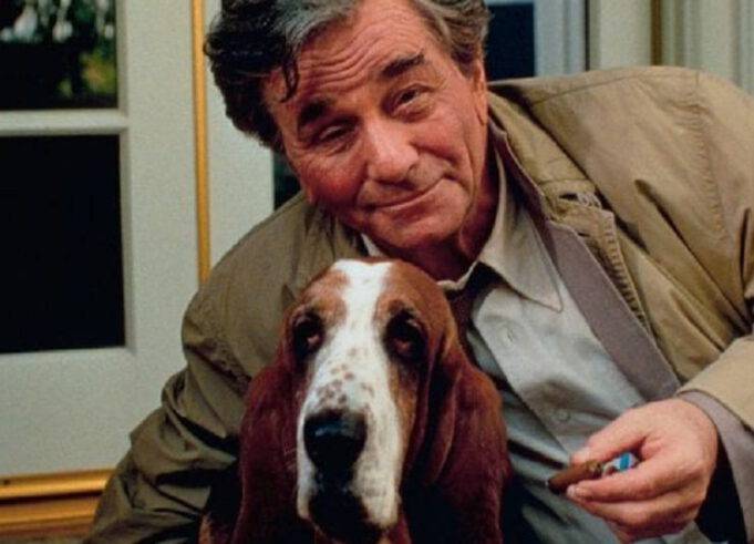 Cane Colombo: nome, razza, caratteristiche e curiosità