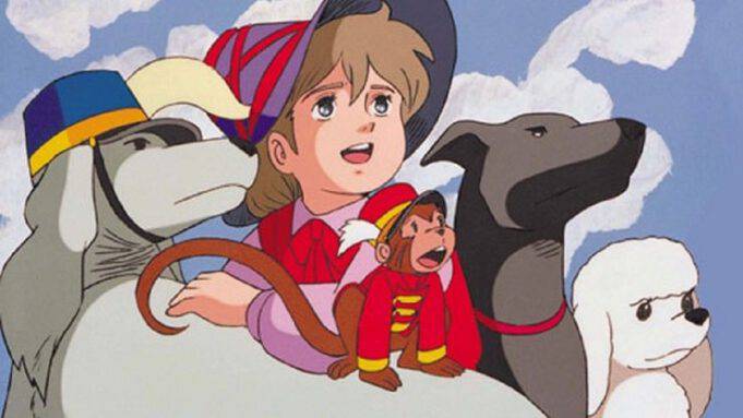 Cani Remì: nomi, razze, caratteristiche, curiosità e foto