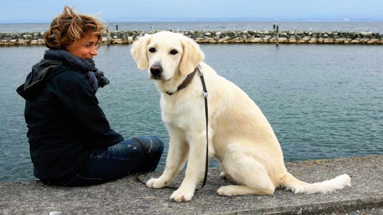 Il cane Luna adottato dalle Rsa: un valido aiuto contro la solitudine