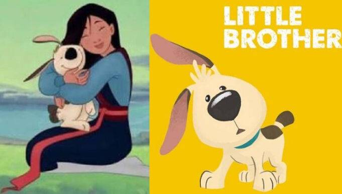 Cane Mulan: nome, razza, caratteristiche e curiosità