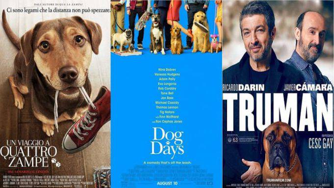 Film con cani: 10 titoli che (probabilmente) non conosci da non perdere