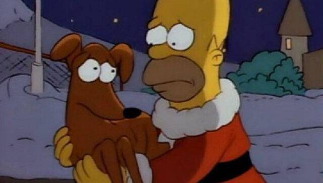 Cane dei Simpson: nome, razza, caratteristiche e curiosità