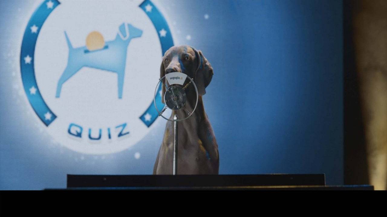 Cane di Segugio (pubblicità): nome, razza, storia, curiosità