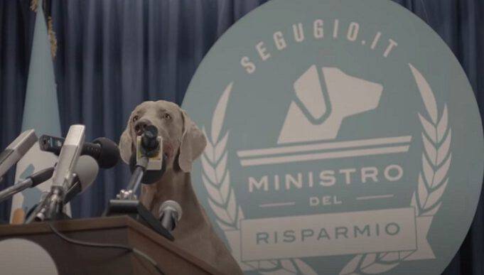 Cane di Segugio (pubblicità): nome, razza, storia, curiosità