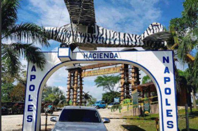 Ippopotami di Pablo Escobar diventano persone giuridiche: è la prima volta