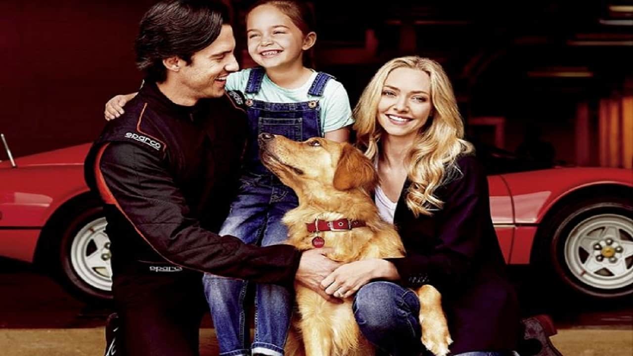 Film con Labrador Retriever: i 6 titoli che non puoi perdere