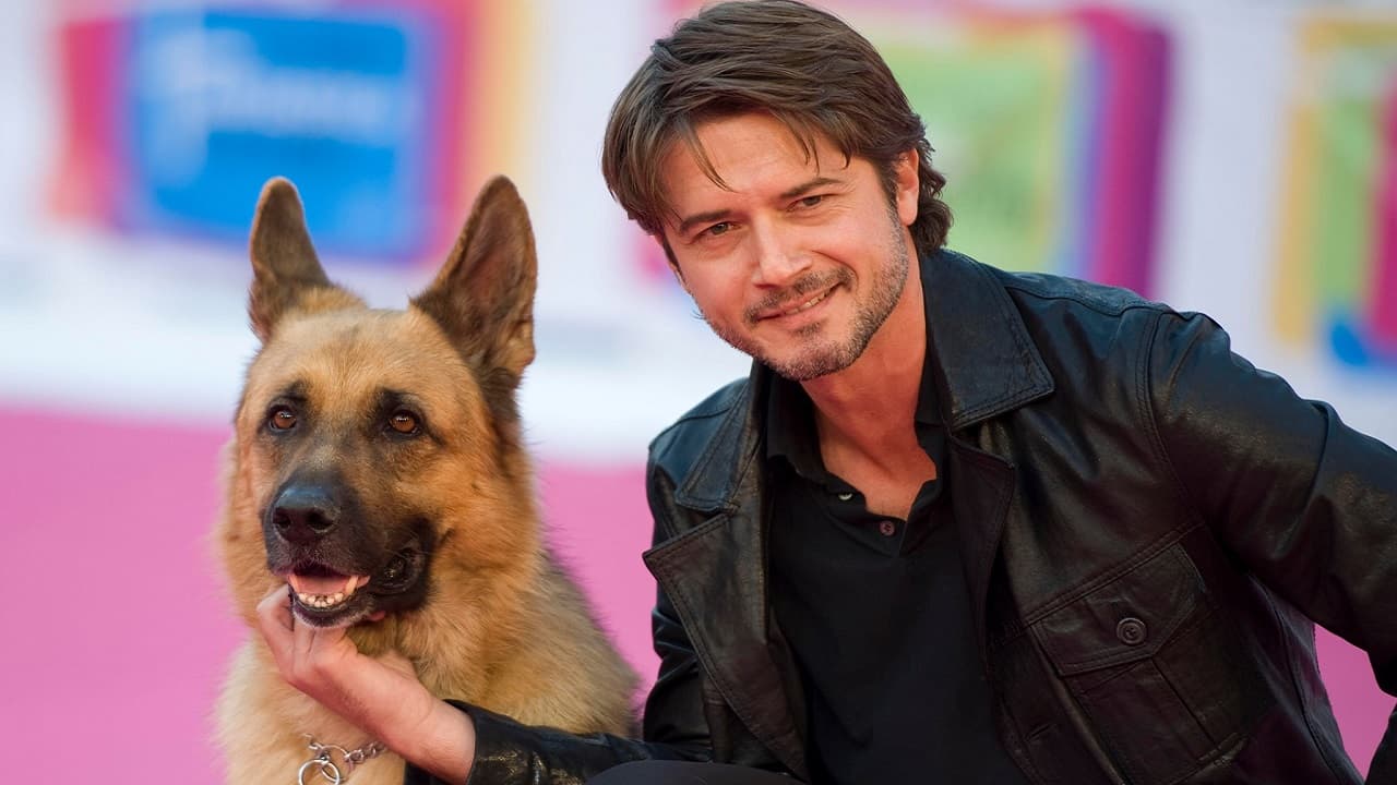 Cane Rex (Commissario Rex): nome, razza, storia e curiosità