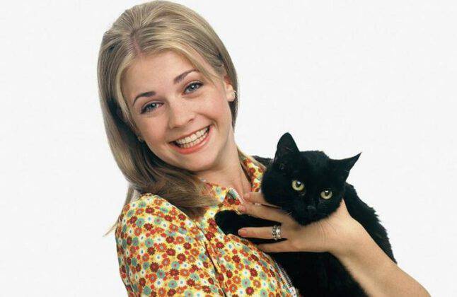 Gatto Sabrina Vita da Strega: nome, razza, caratteristiche e curiosità
