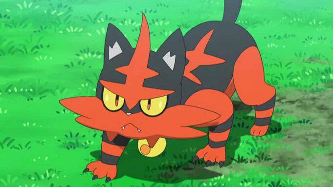 Gatto fuoco Pokemon: nome, razza, storia e curiosità