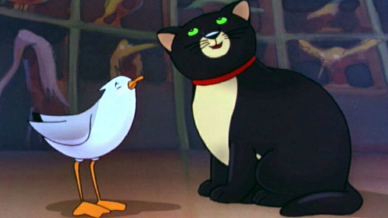 Gatto La gabbianella e il gatto: nome, storia e curiosità