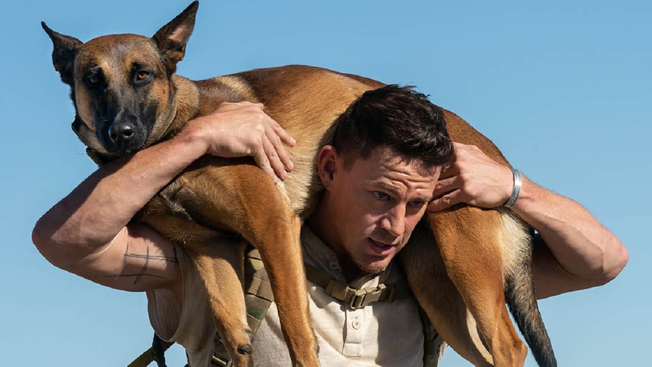 Cane Io & Lulù (Dog): nome, razza, caratteristiche e curiosità