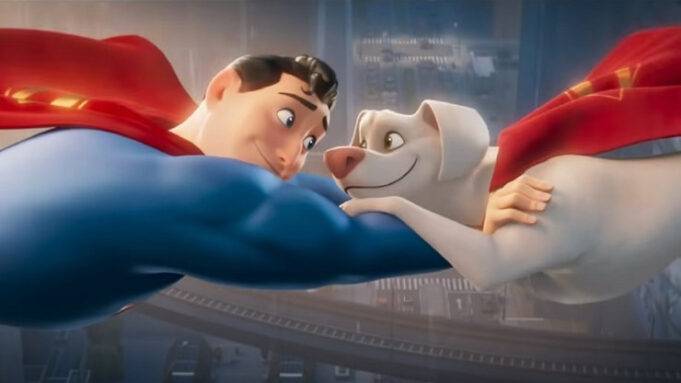 Cane Superman: nome, razza, caratteristiche e curiosità