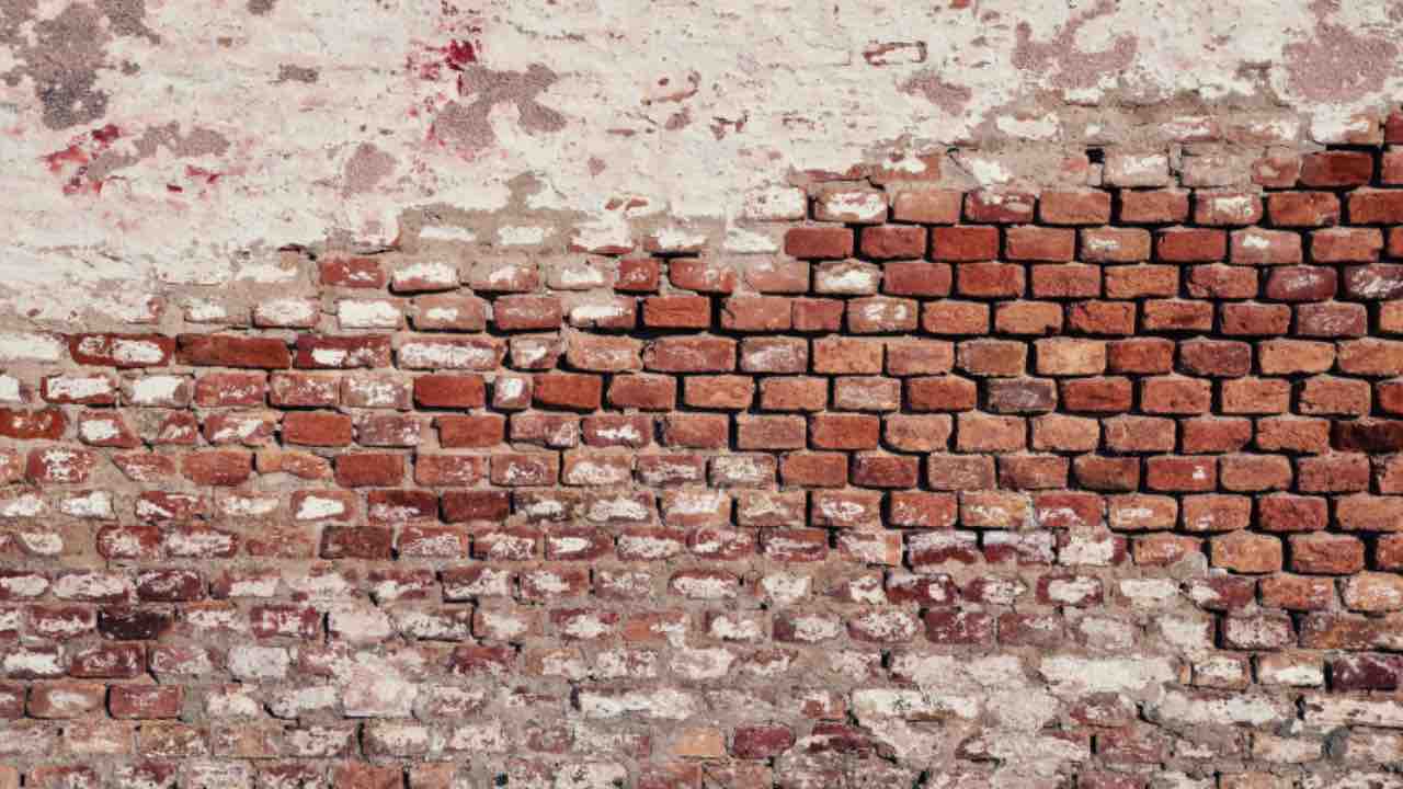Un gattino precipita e resta incastrato in un muro di cinta