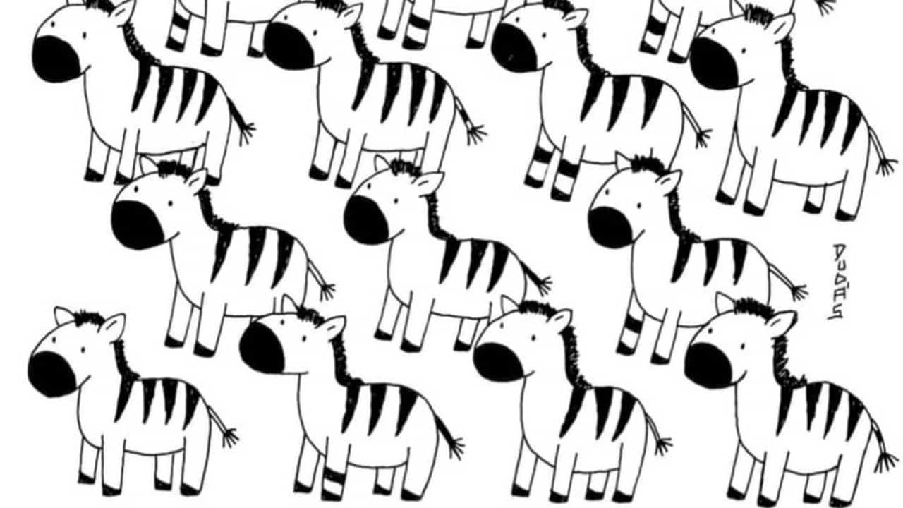 Il nuovo test visivo della zebra diversa : i più audaci riusciranno a ...