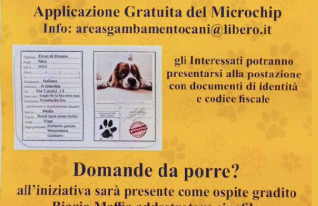 Applicazione gratuita microchip per cani: martedì, 20 settembre