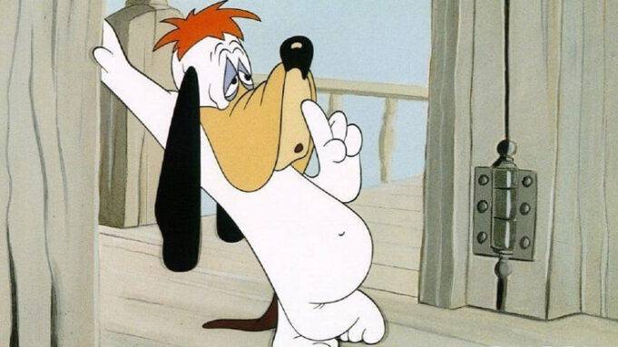 Cane Droopy: nome, razza, caratteristiche e curiosità