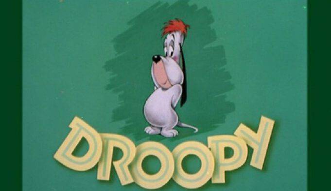 Cane Droopy: nome, razza, caratteristiche e curiosità