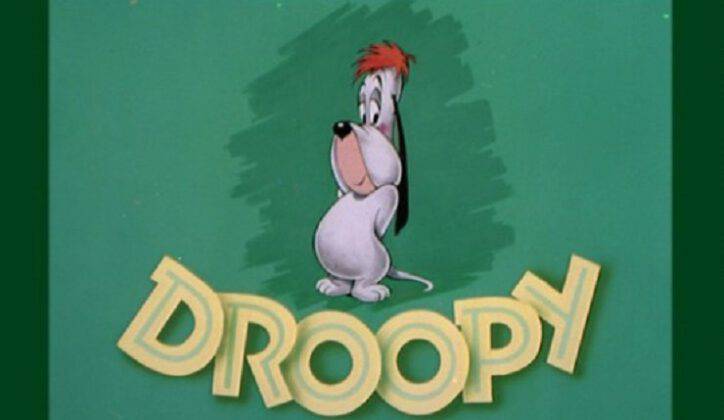 Cane Droopy: nome, razza, caratteristiche e curiosità