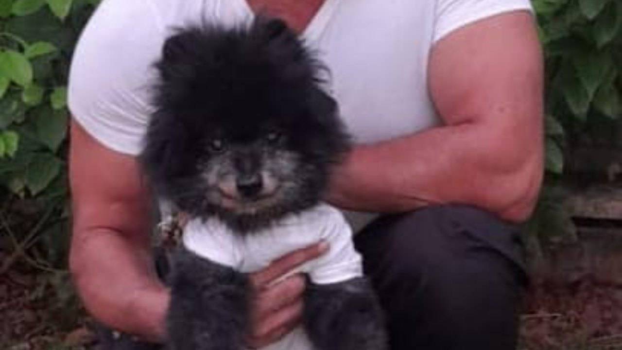 Cicci è il meticcio più vecchio del mondo: il cane testimonial del festival