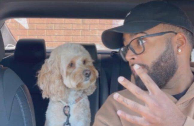 Le sorprendenti abilità matematiche del cane Luna (VIDEO)