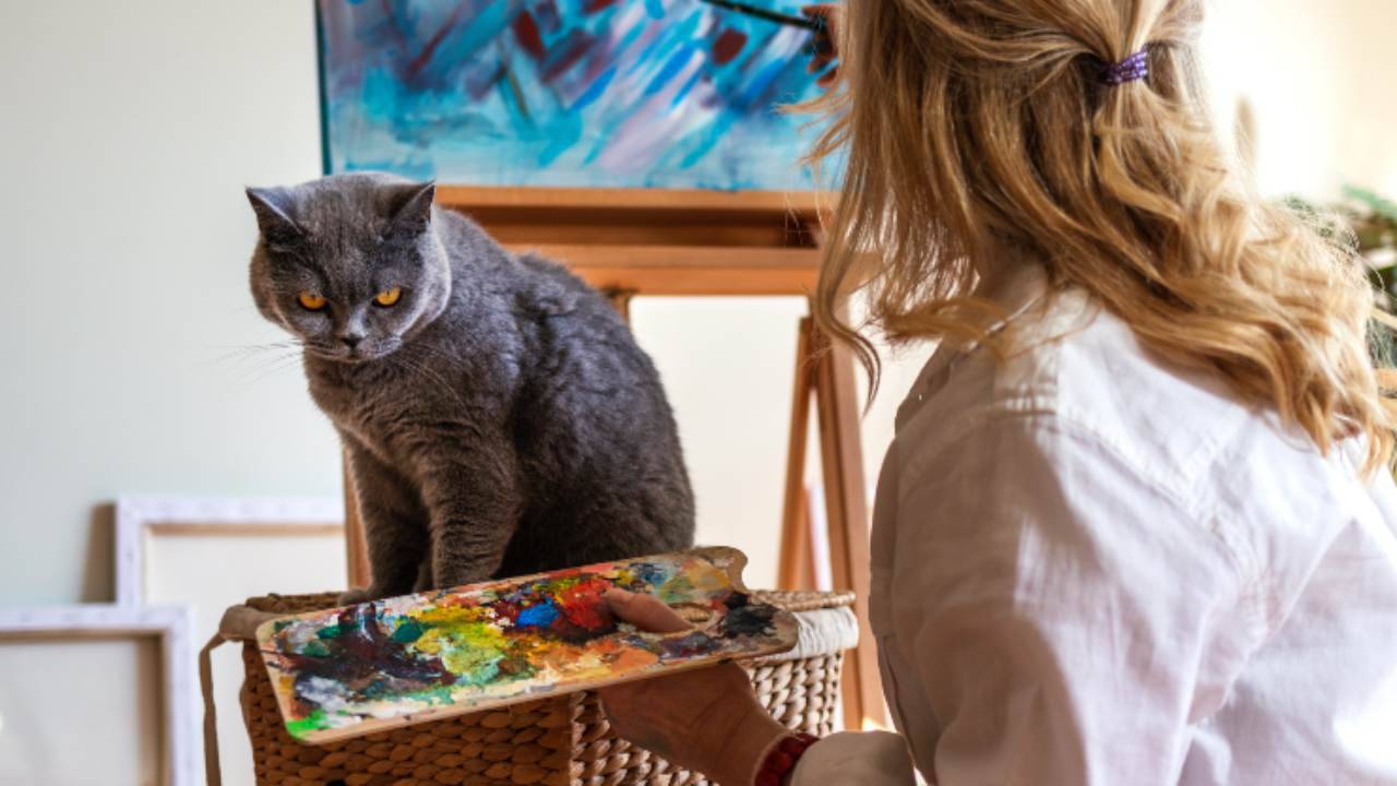 I gatti possono vedere i colori? Tutto ciò che devi sapere a riguardo