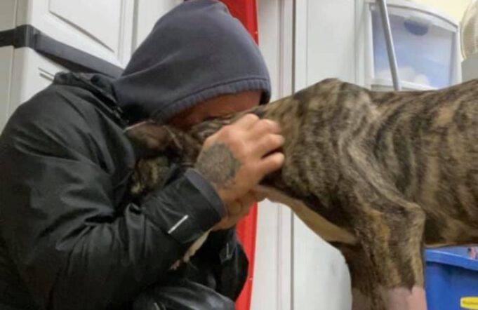 Il percorso di Ethan: da cane randagio al ricevere un premio