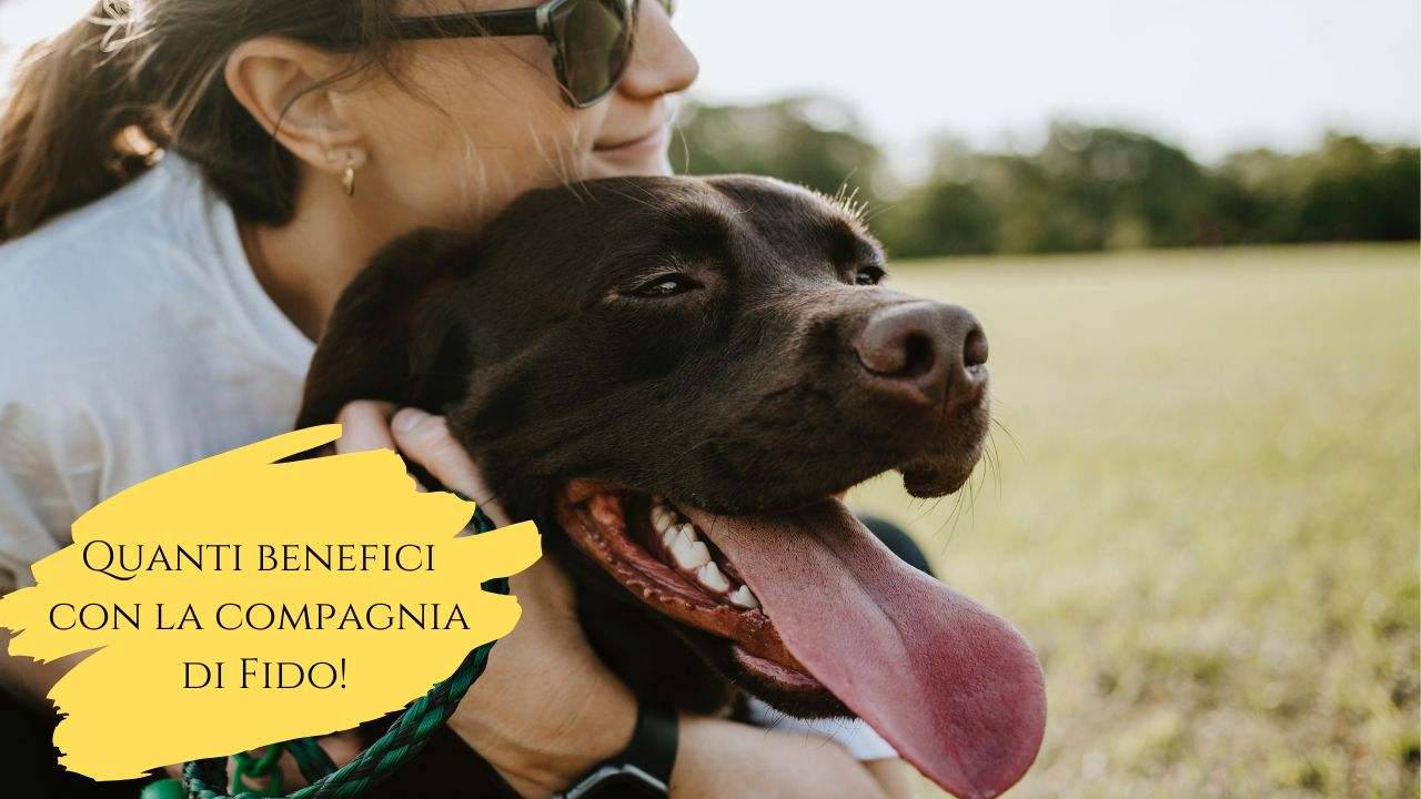 Avere un cane fa bene alla salute fisica e non solo: quali i benefici ...