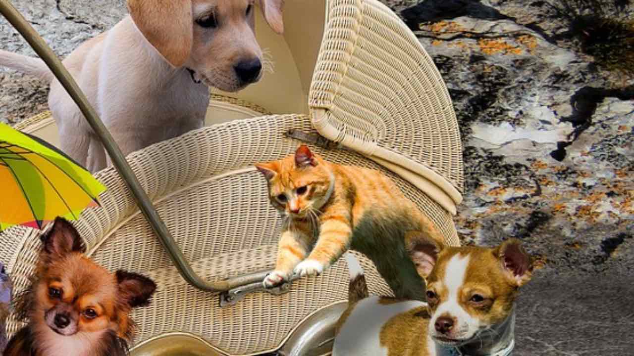 Disposti a tutto per vederli felici: la verità sull'amore immenso degli ...
