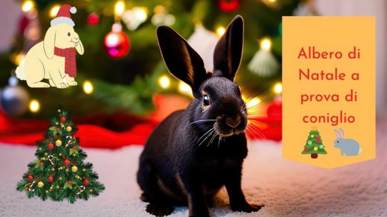 Come tenere il coniglio lontano dall'albero di Natale: i consigli migliori